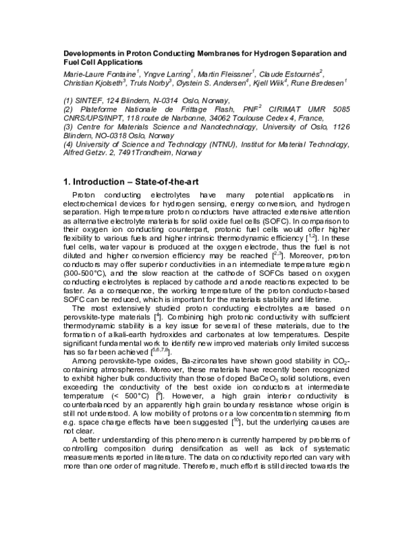 (PDF) Developments in Proton Conducting Membranes for Hydrogen ...