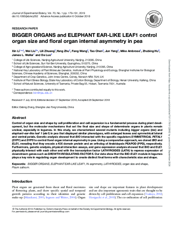 (PDF) BIGGER ORGANS and ELEPHANT EAR-LIKE LEAF1 control organ size and ...