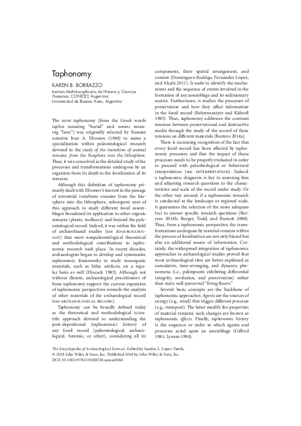 (PDF) Taphonomy