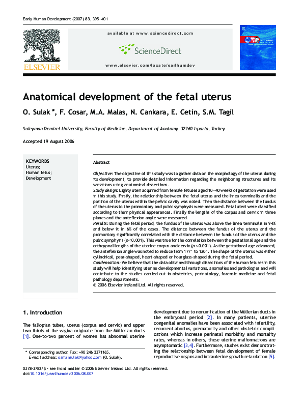 (PDF) Anatomical development of the fetal uterus