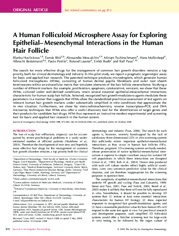 (PDF) A Human Folliculoid Microsphere Assay for Exploring Epithelial ...