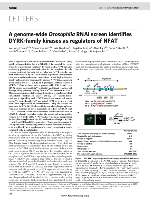 (PDF) A genome-wide Drosophila RNAi screen identifies DYRK-family kinases as regulators of NFAT ...