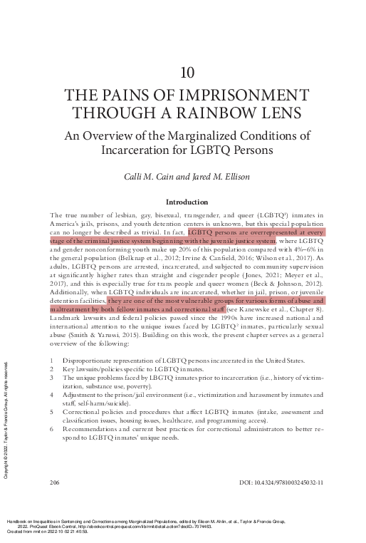 (PDF) THE PAINS OF IMPRISONMENT THROUGH A RAINBOW LENS An Overview of ...