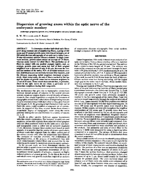(PDF) Dispersion of growing axons within the optic nerve of the ...