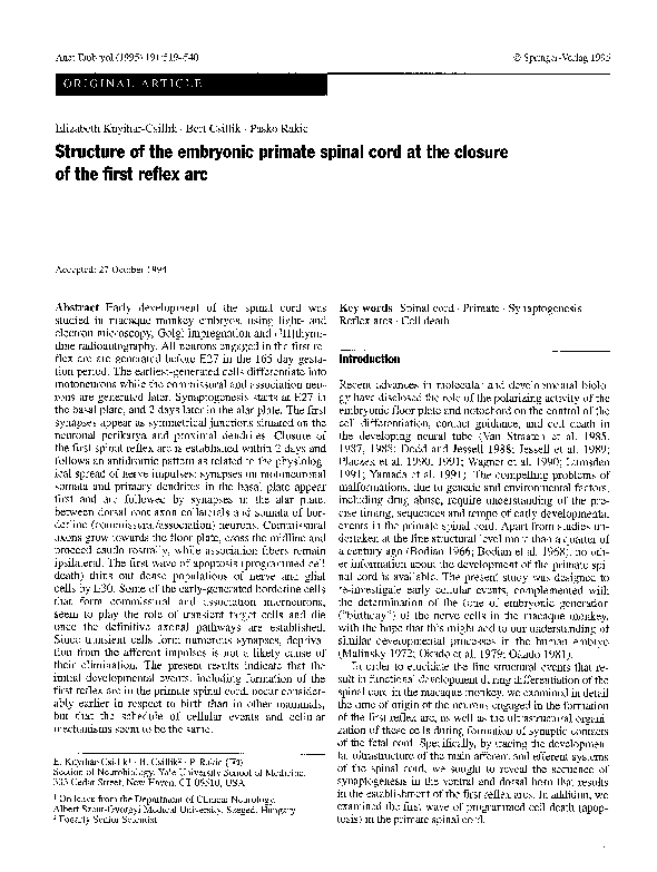 (PDF) Structure of the embryonic primate spinal cord at the closure of ...