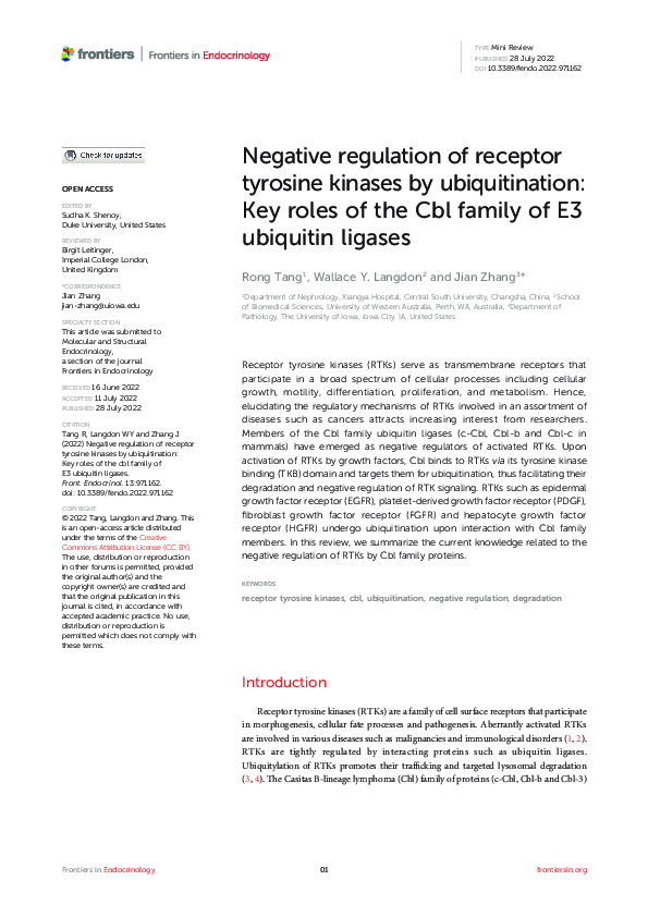 (PDF) Negative regulation of receptor tyrosine kinases by ...