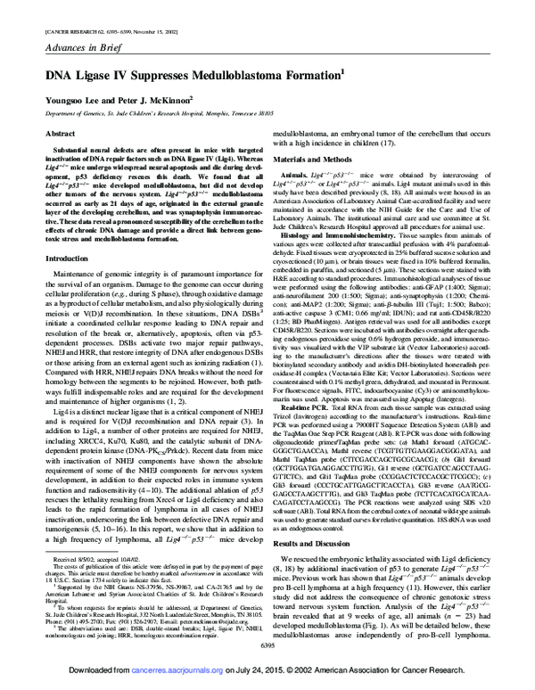 (PDF) DNA ligase IV suppresses medulloblastoma formation