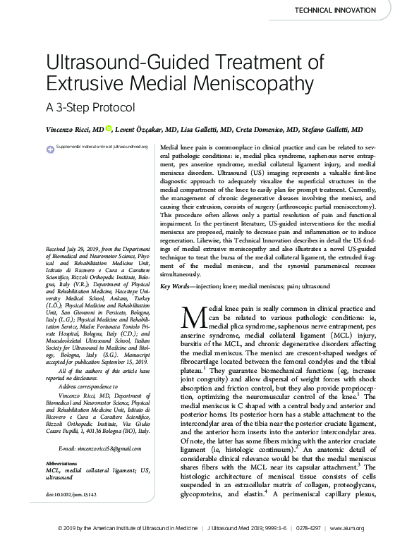 (PDF) Ultrasound‐Guided Treatment of Extrusive Medial Meniscopathy: A 3 ...
