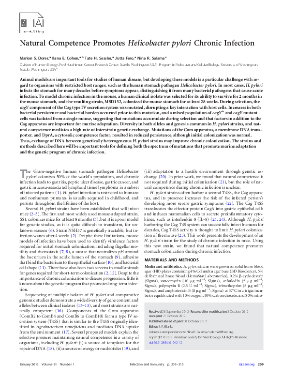 (PDF) Natural Competence Promotes Helicobacter pylori Chronic Infection