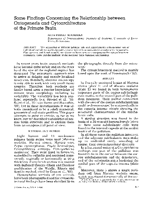 (PDF) Some findings concerning the relationship between ontogenesis and cytoarchitecture of the ...