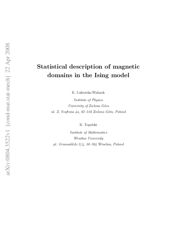 (PDF) Statistical description of magnetic domains in the Ising model