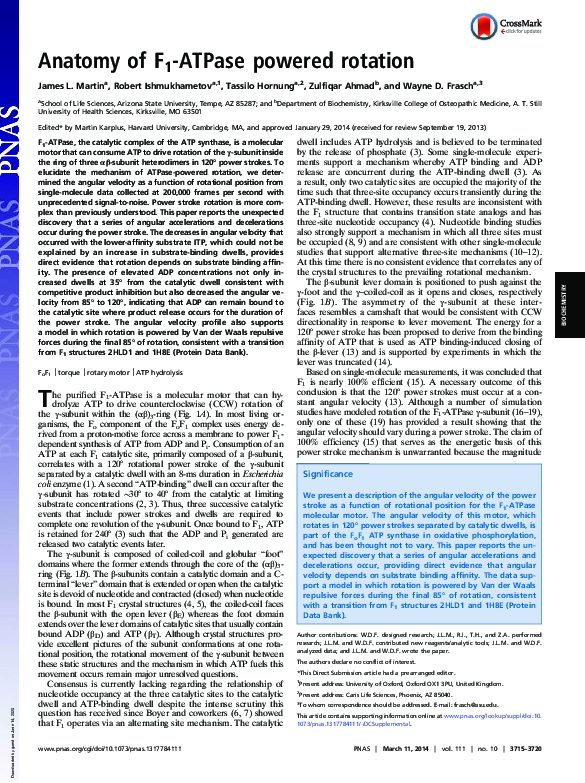 (PDF) Anatomy of F 1 -ATPase powered rotation