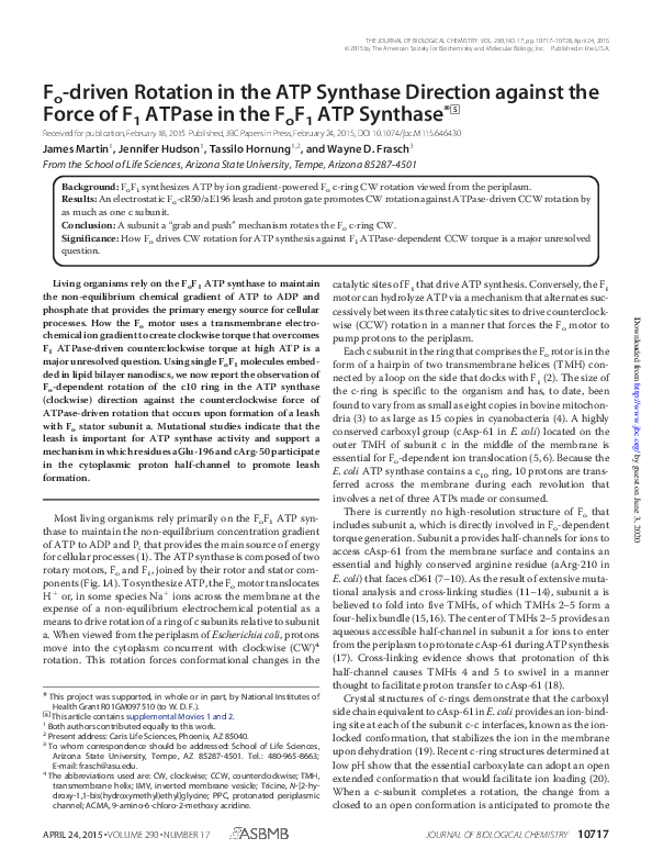 (PDF) Fo-driven Rotation in the ATP synthase Direction Against the ...
