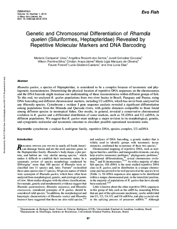 (PDF) Genetic and Chromosomal Differentiation of Rhamdia quelen ...