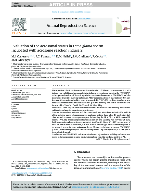 (PDF) Evaluation of the acrosomal status in Lama glama sperm incubated ...