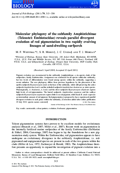 (PDF) Molecular phylogeny of the subfamily Amphistichinae (Teleostei ...
