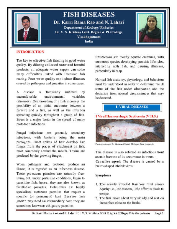 (PDF) Fish Diseases