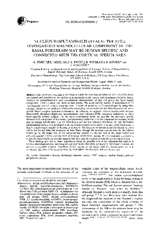 (PDF) Nucleus subputaminalis (ayala): the still disregarded ...
