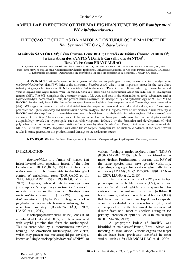 (PDF) Ampullae infection of the malpighian tubules of Bombyx mori by ...