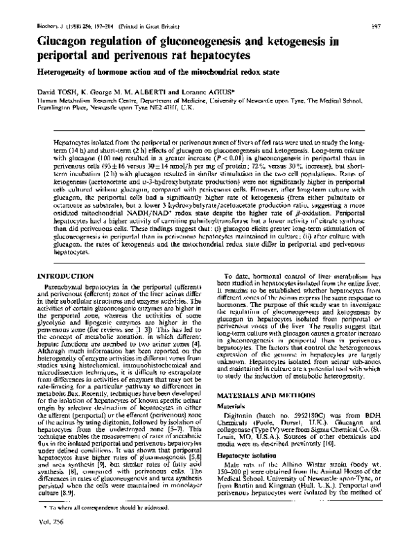 (PDF) Glucagon regulation of gluconeogenesis and ketogenesis in ...