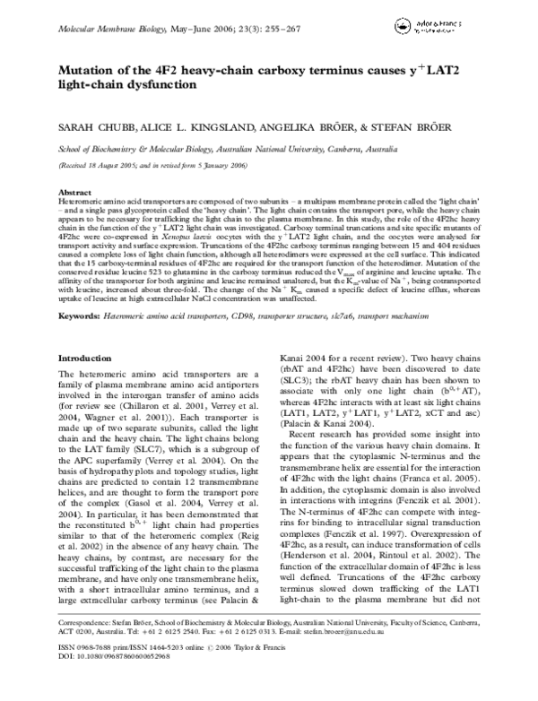 (PDF) 4F2 Heavy-Chain Carboxy Terminus Mutations Affect y+LAT2 Function