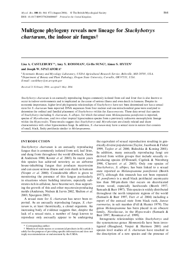(PDF) Multigene phylogeny reveals new lineage for Stachybotrys ...