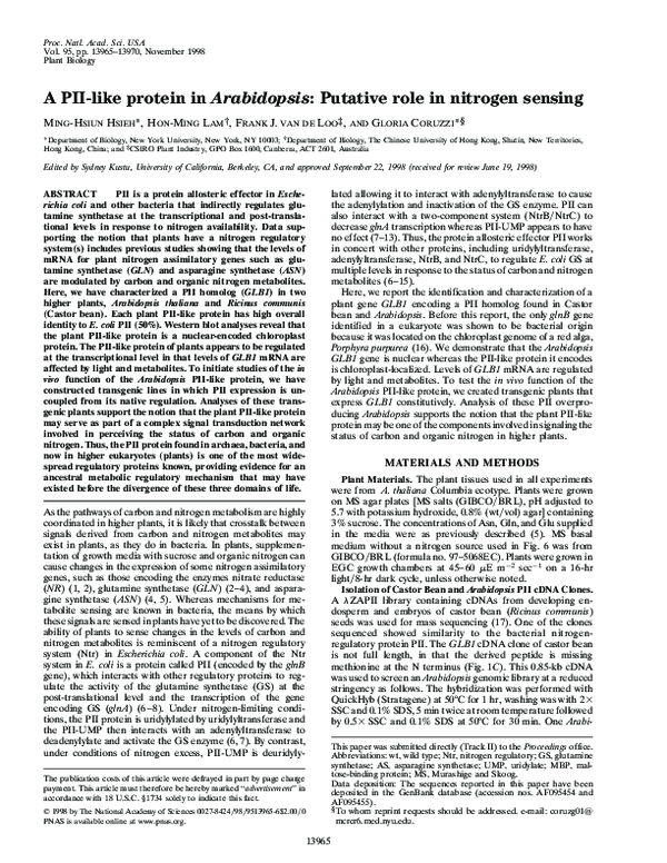 (PDF) A PII-like protein in Arabidopsis : Putative role in nitrogen sensing