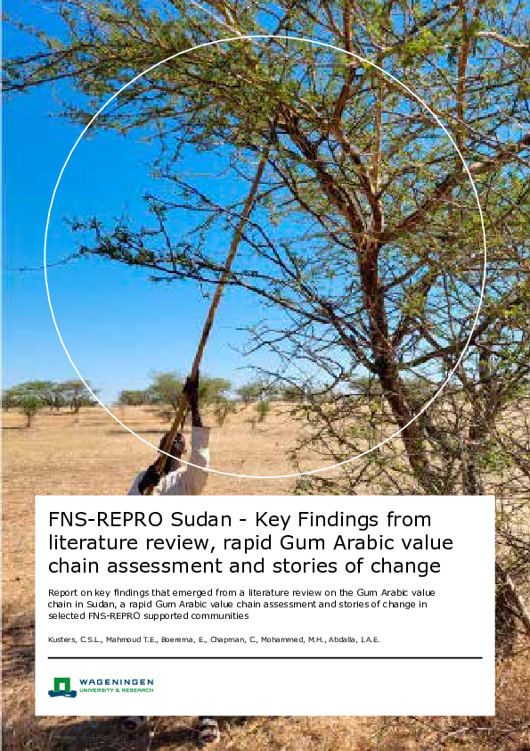 (PDF) FNS-REPRO Sudan -Key Findings from literature review, rapid Gum ...