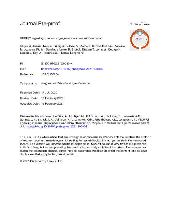 (PDF) VEGFR1 signaling in retinal angiogenesis and microinflammation ...