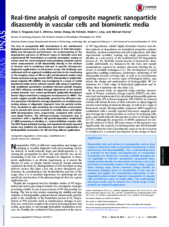 (PDF) Real-time analysis of composite magnetic nanoparticle disassembly in vascular cells and ...