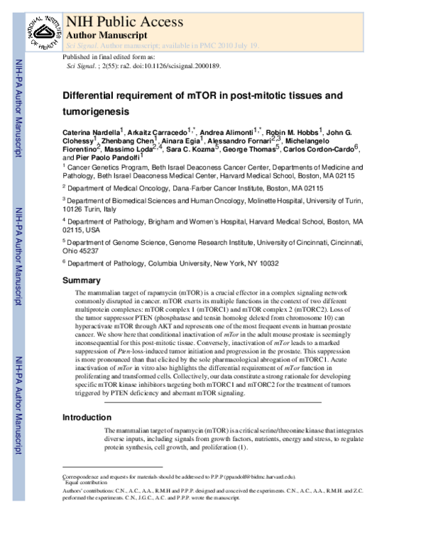 (PDF) Differential Requirement of mTOR in Postmitotic Tissues and ...