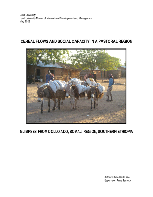 (PDF) Cereal Flows and Social Capacity in a Pastoral Region: Glimpses ...