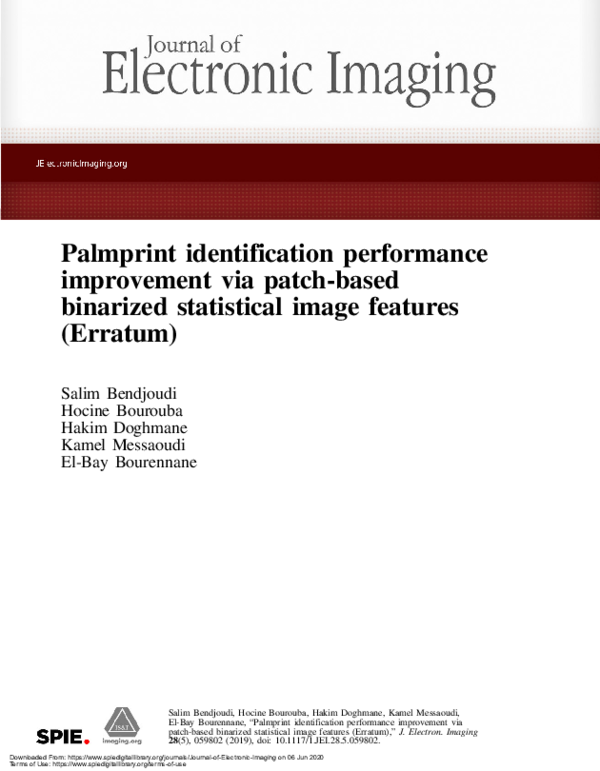 (PDF) Palmprint identification performance improvement via patch-based ...