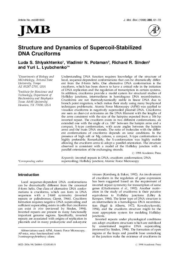 (PDF) Structure and dynamics of supercoil-stabilized DNA cruciforms ...