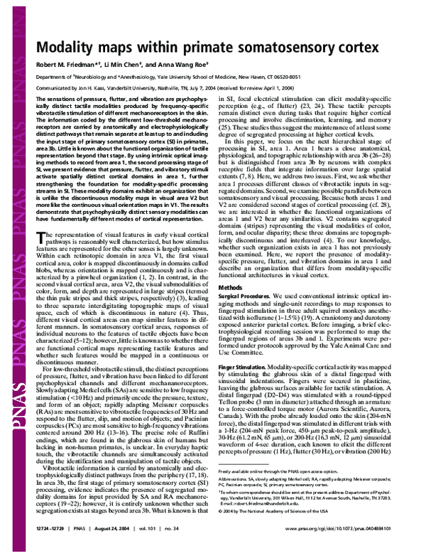 (PDF) Modality maps within primate somatosensory cortex | Anna Roe - Academia.edu