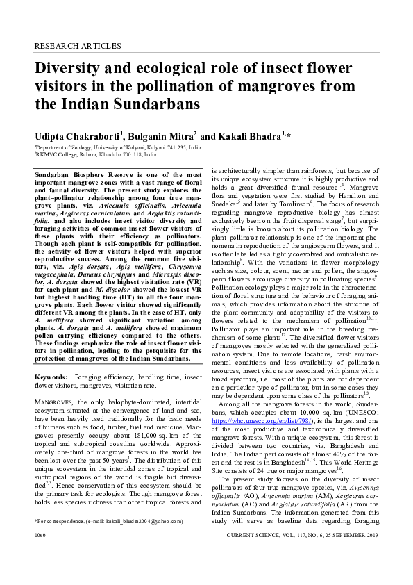 (PDF) Diversity and Ecological Role of Insect Flower Visitors in the ...