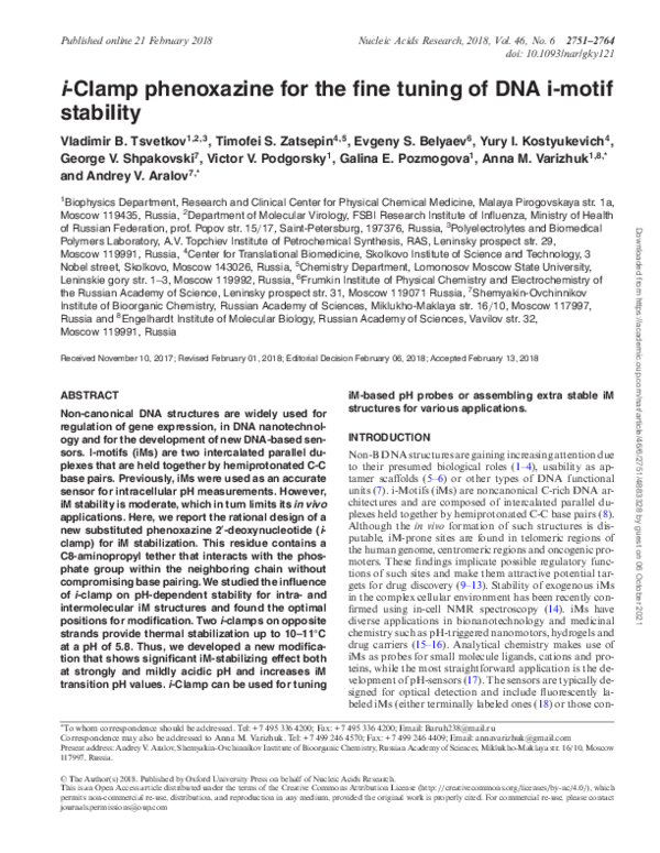 (PDF) i-Clamp phenoxazine for the fine tuning of DNA i-motif stability ...