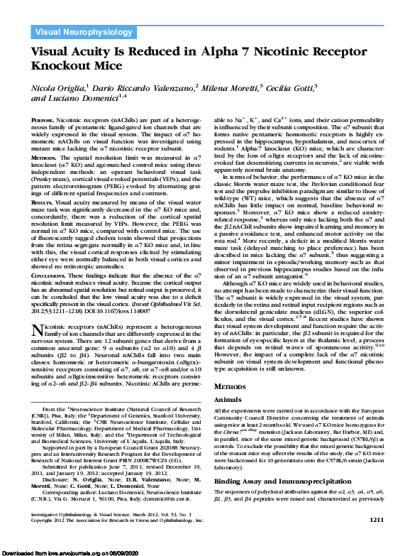 (PDF) Visual Acuity Is Reduced in Αlpha 7 Nicotinic Receptor Knockout ...