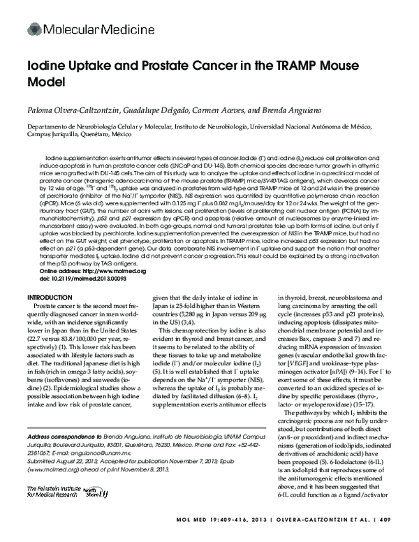 (PDF) Iodine uptake and prostate cancer in the TRAMP mouse model