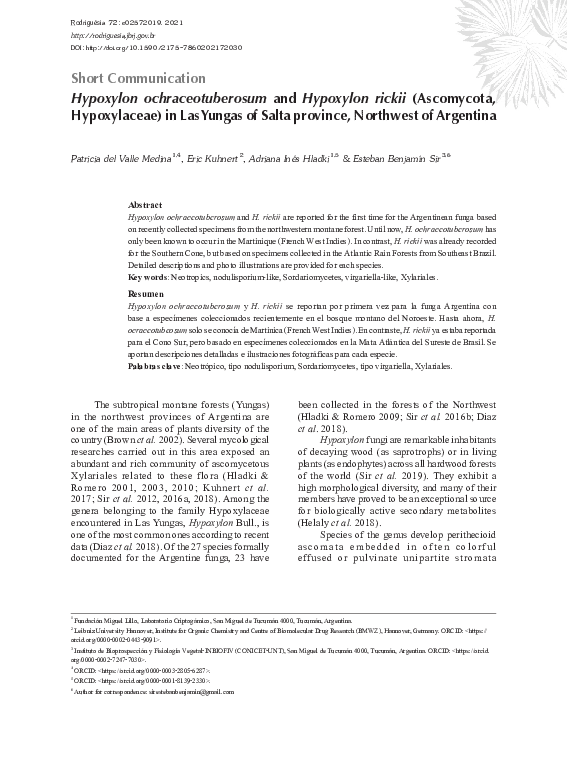 (PDF) Hypoxylon ochraceotuberosum and Hypoxylon rickii (Ascomycota ...