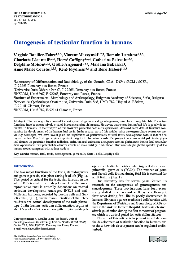 (PDF) Ontogenesis of testicular function in humans | Gaëlle Angenard ...