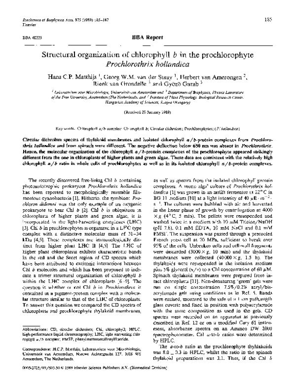 (PDF) Structural organization of chlorophyll b in the prochlorophyte ...