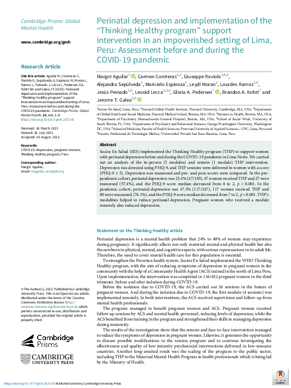 (PDF) Perinatal depression and implementation of the “Thinking Healthy ...