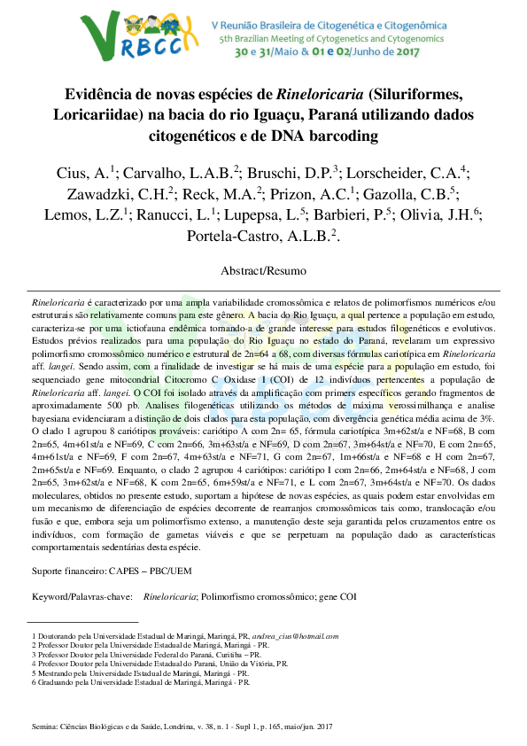 (PDF) Evidência de novas espécies de Rineloricaria (Siluriformes, Loricariidae) na bacia do rio ...