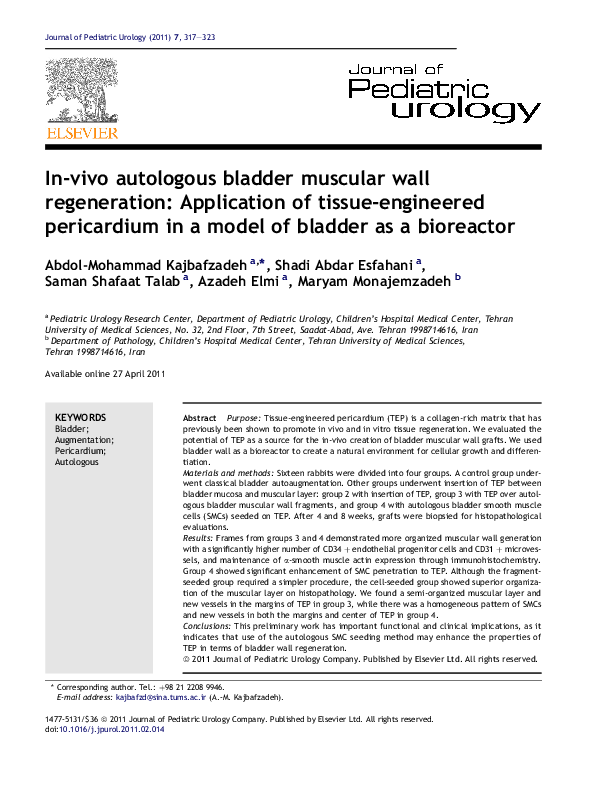 (PDF) In-vivo autologous bladder muscular wall regeneration ...