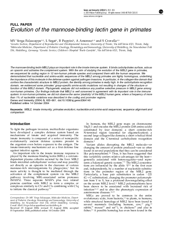 Pdf Evolution Of The Mannose Binding Lectin Gene In Primates Sergio Crovella
