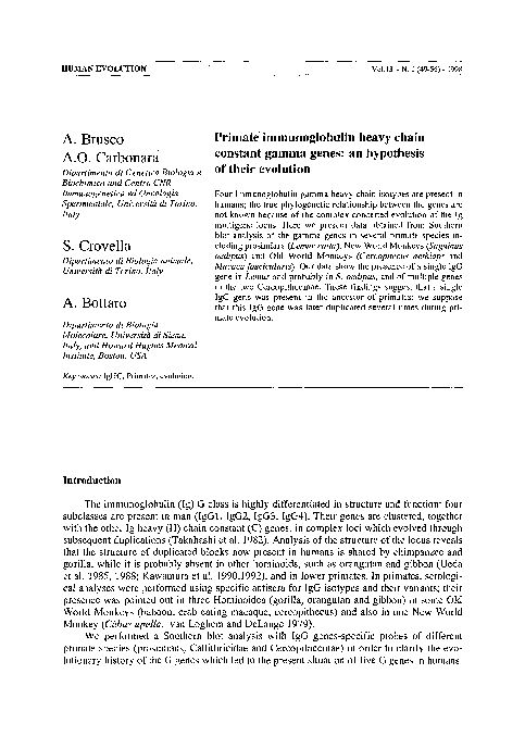 (PDF) Primate immunoglobulin heavy chain constant gamma genes: an ...