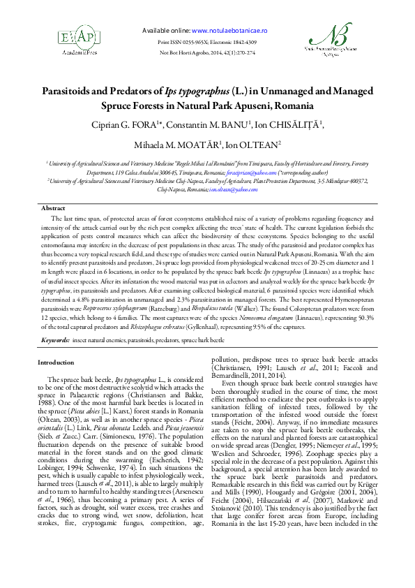 (PDF) Parasitoids and Parasitoids and Predators of Ips typographus (L ...