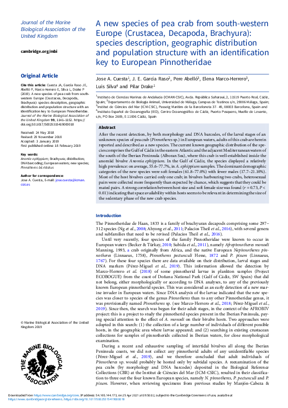 (PDF) A new species of pea crab from south-western Europe (Crustacea ...