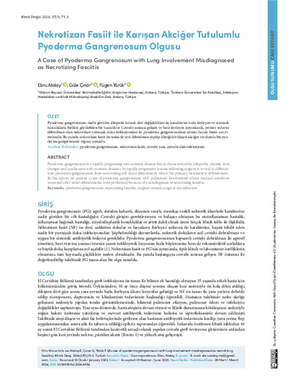 (PDF) A Case of Pyoderma Gangrenosum with Lung Involvement Misdiagnosed ...